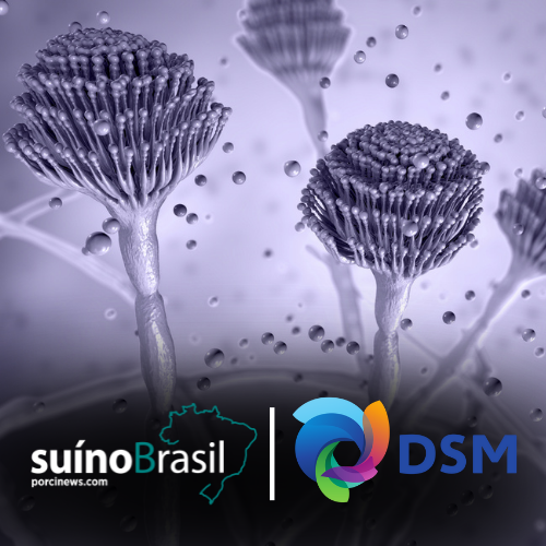 Mycofix Plus 5.0 - a solução da DSM que adsorve e BIOTRANSFORMA as ...